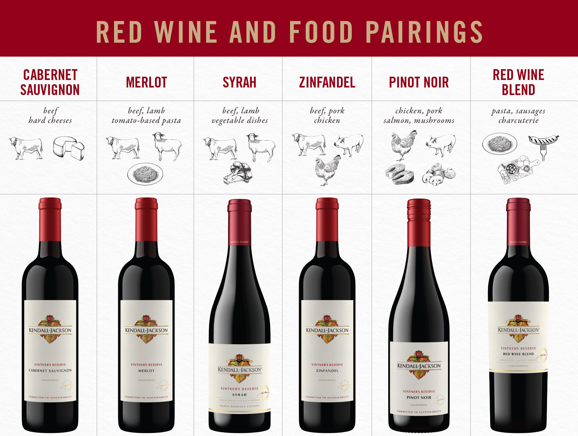 Essential Wine and Food Pairings Guide with Handy Chart
